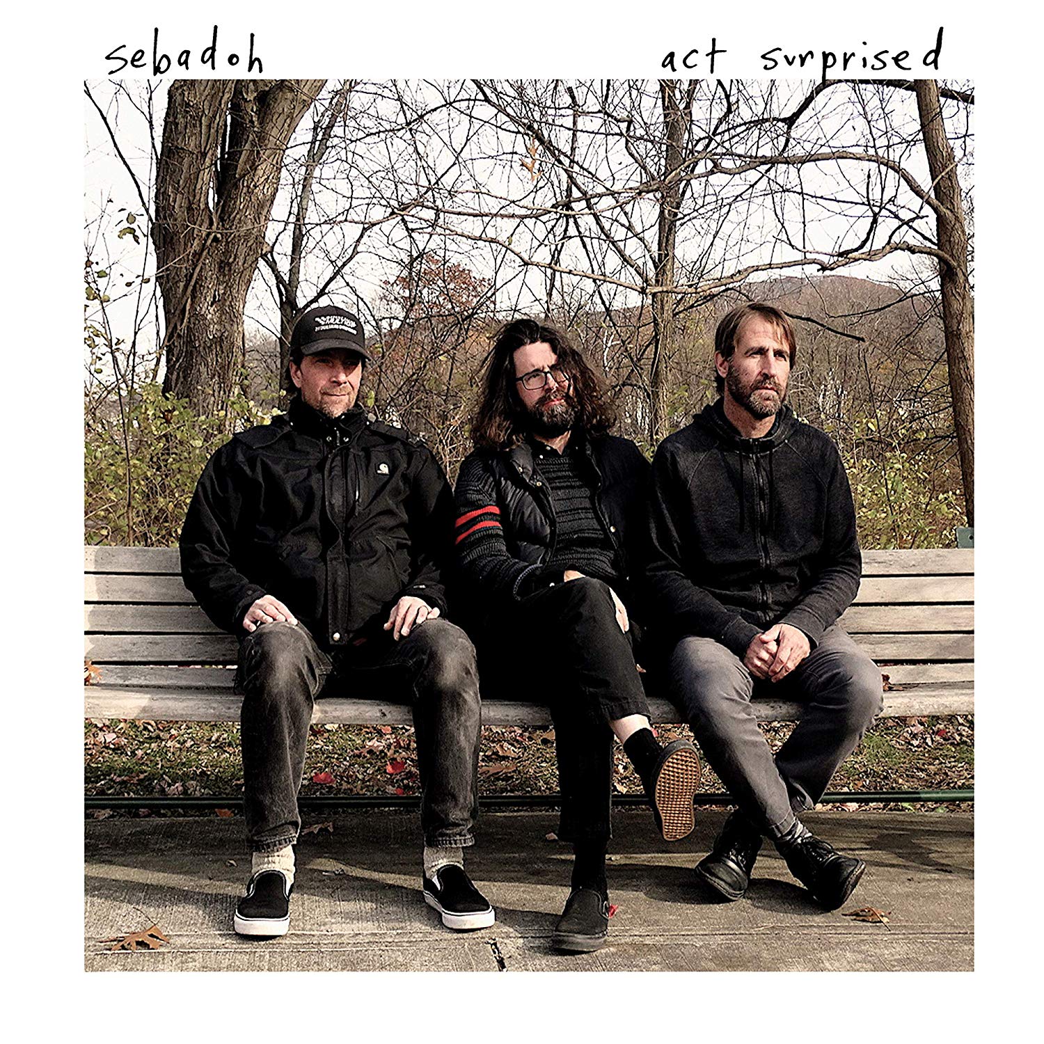 Sebadoh - Act Surprised CD Review | SonicAbuse