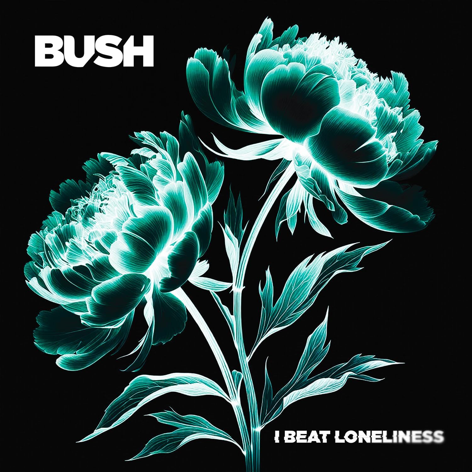 Bush – I Beat Loneliness Album Review | SonicAbuse